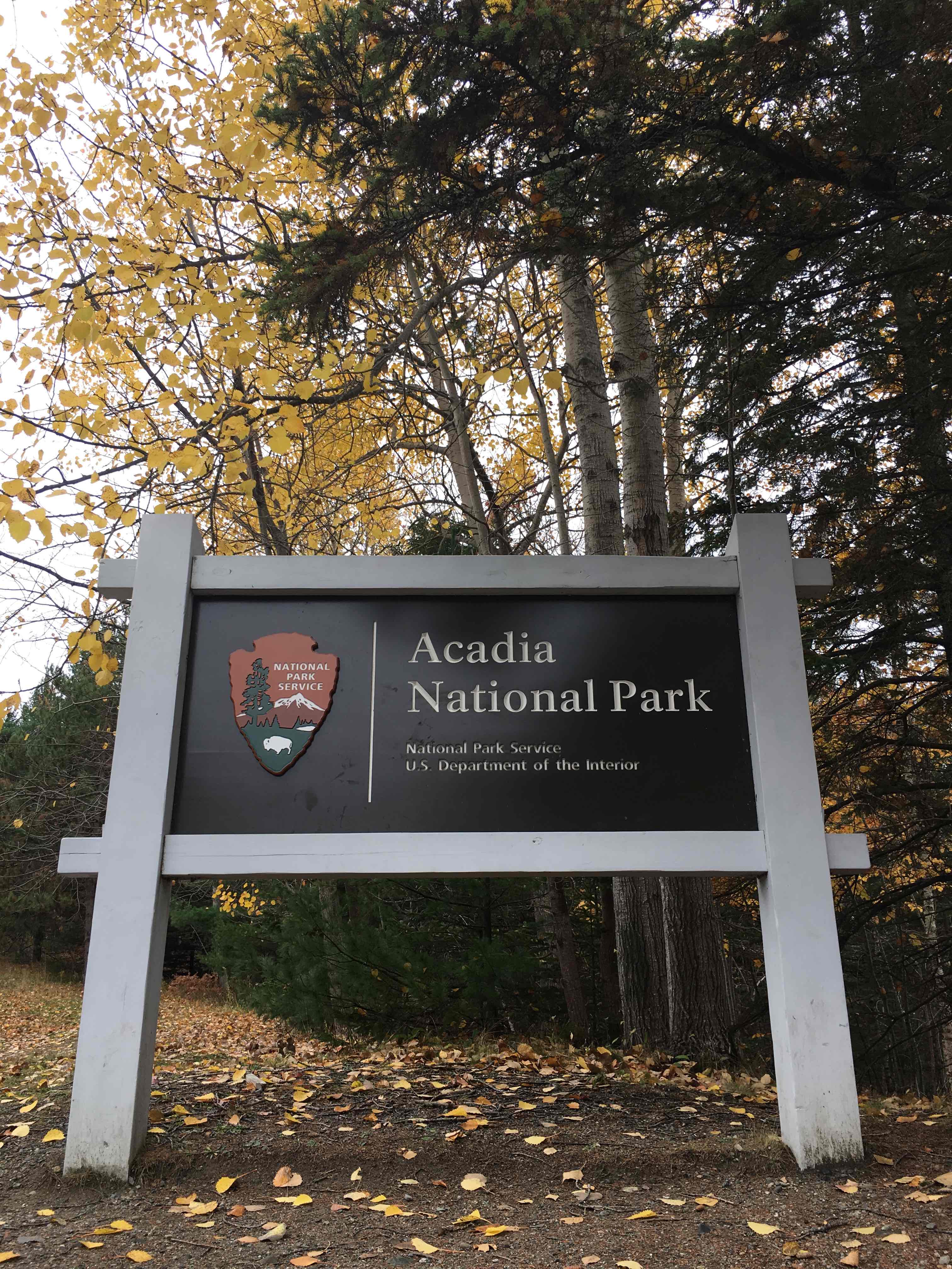 A November Morning in Acadia National Park – Chimani Blog